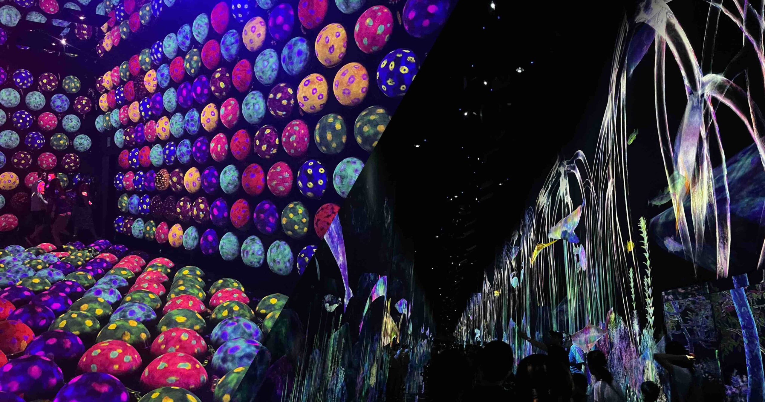 【2025年度版】中高生トレンド〇〇ランキングを大発表！ 流行ワードは“ケンチャーナ””あーね”“〇〇界隈” - ニコラネット｜nicola オフィシャルサイト